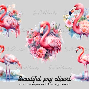 Pink Flamingo Clipart, Watercolor Flamingo Png, Pink Flamingo With ...