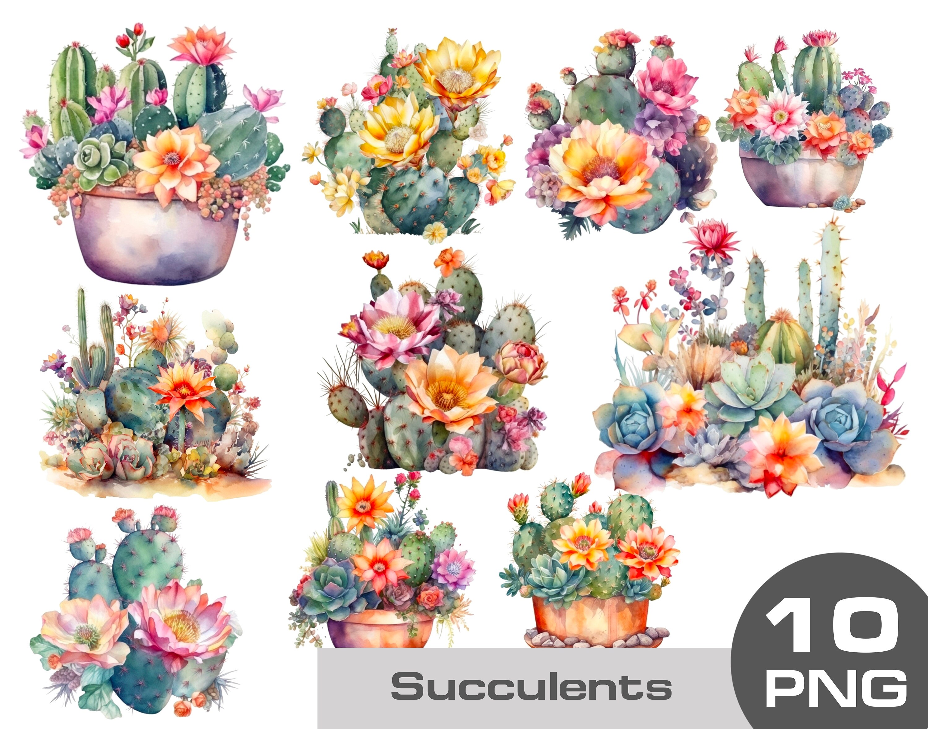 Watercolor Succulent Clipart Cute Watercolor Cactus Clipart - Etsy