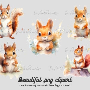 Watercolor Squirrel Clipart, Squirrel Png, Watercolor Forest Animal ...