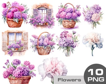 Watercolor Carnation Flowers Clipart Bundle Watercolor - Etsy