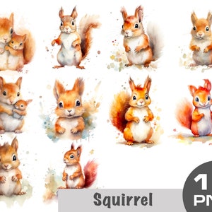 Watercolor Squirrel Clipart, Squirrel Png, Watercolor Forest Animal ...