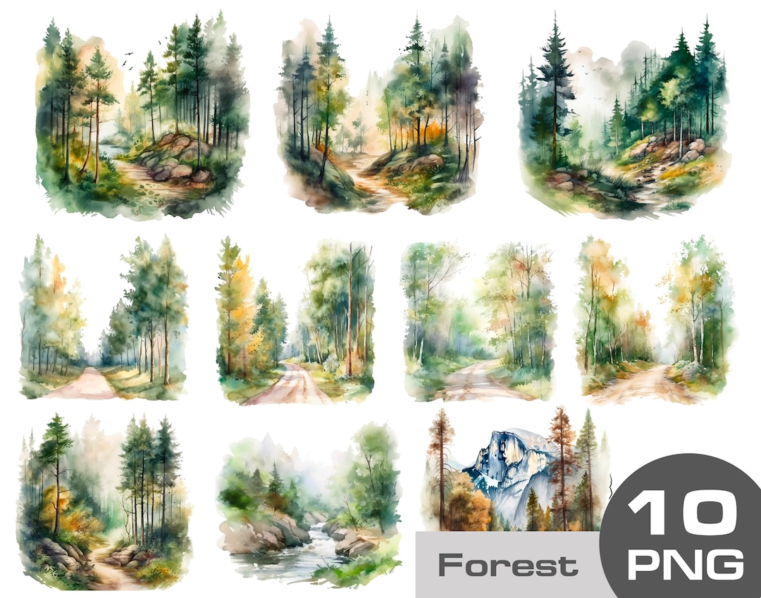 Watercolor Forest Clipart, Wood Clipart, Woodland Clipart, Forest ...