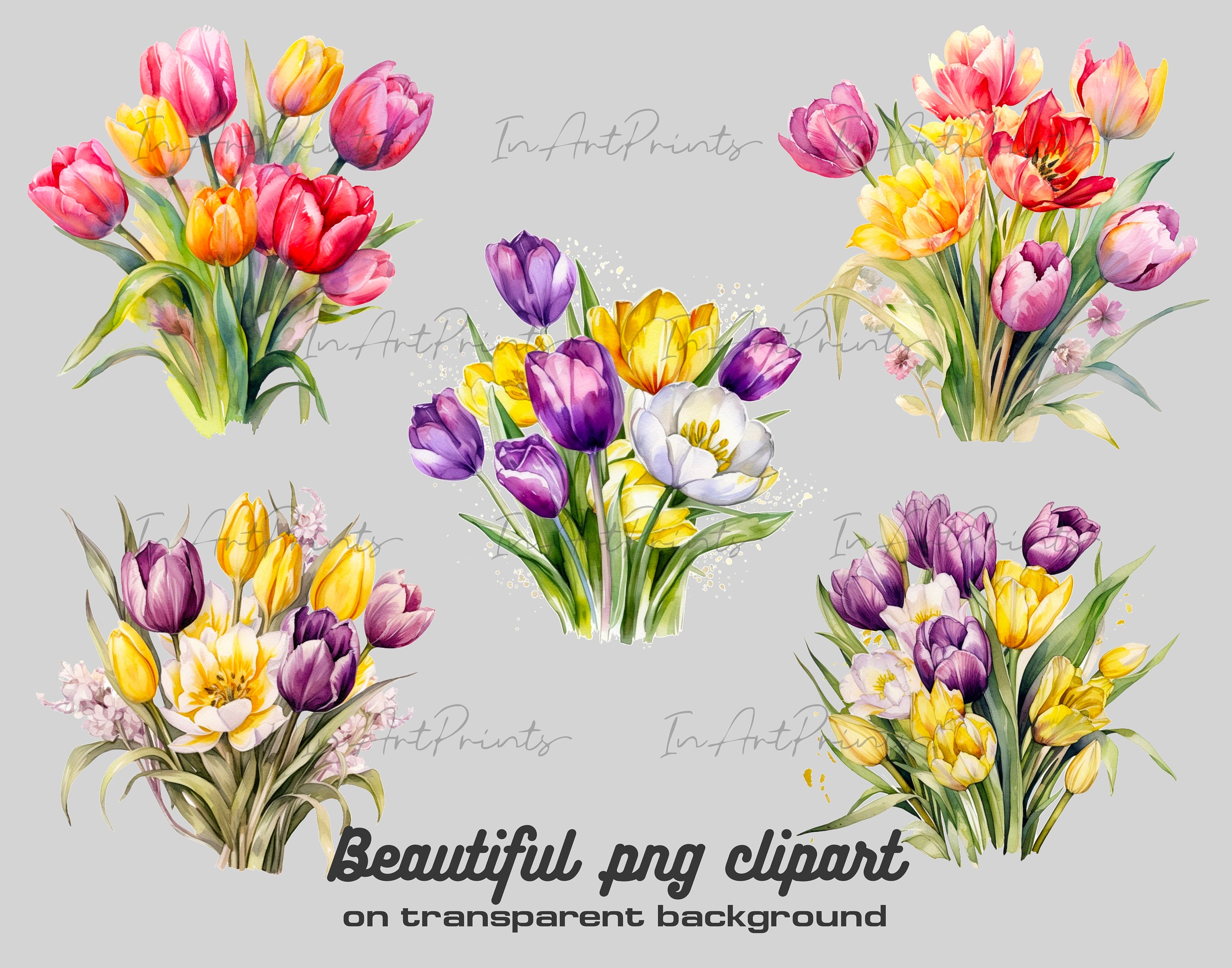 Watercolor Tulips Clipart Png, Tulips Bouquet Clipart, Spring Flowers ...