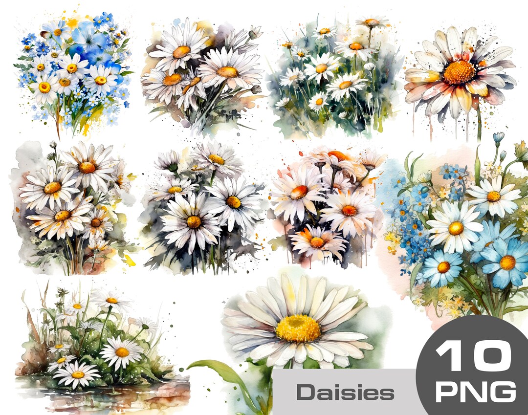 Watercolor Daisy Clipart, Wildflowers Floral Clipart, Wedding ...