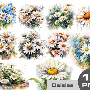 Watercolor Daisy Clipart, Wildflowers Floral Clipart, Wedding ...