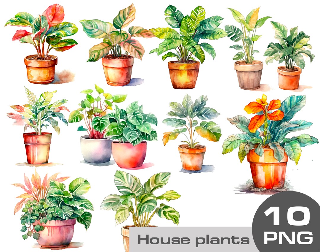 Watercolor Home Plant Clipart, Plant in a Pot Clipart, Greenery Png ...
