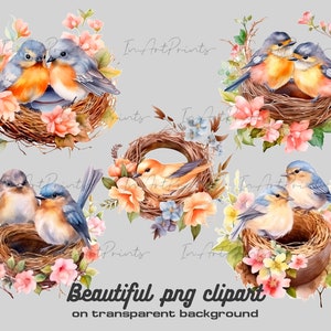 Watercolor Bird Nests Png Clipart, Cute Birds and Blossoms PNG, Birds ...