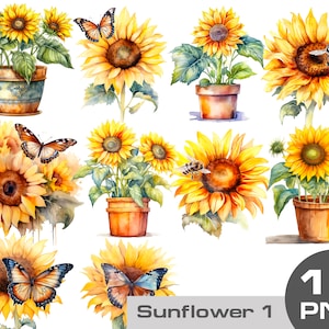 Watercolor Sunflower Clipart Sunflowers Bouquet Png - Etsy