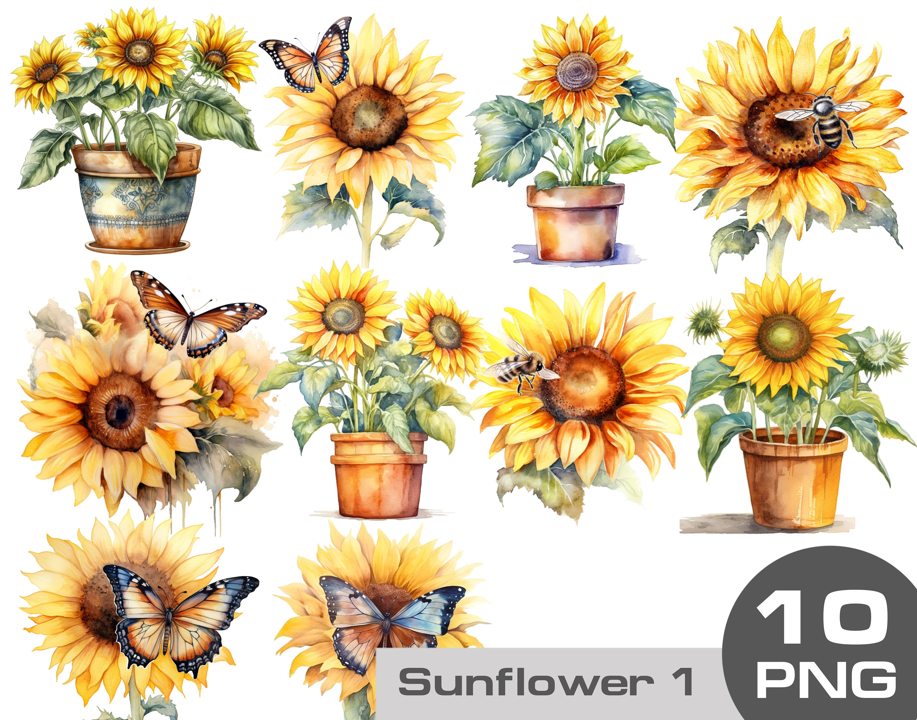 Free Sunflower Clipart