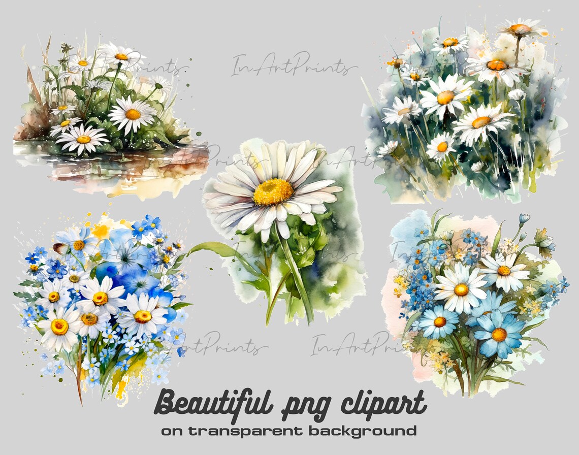 Watercolor Daisy Clipart, Wildflowers Floral Clipart, Wedding ...