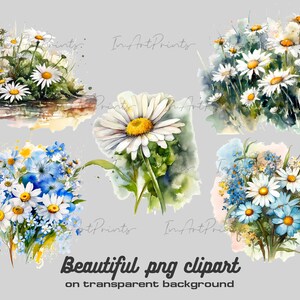 Watercolor Daisy Clipart, Wildflowers Floral Clipart, Wedding ...