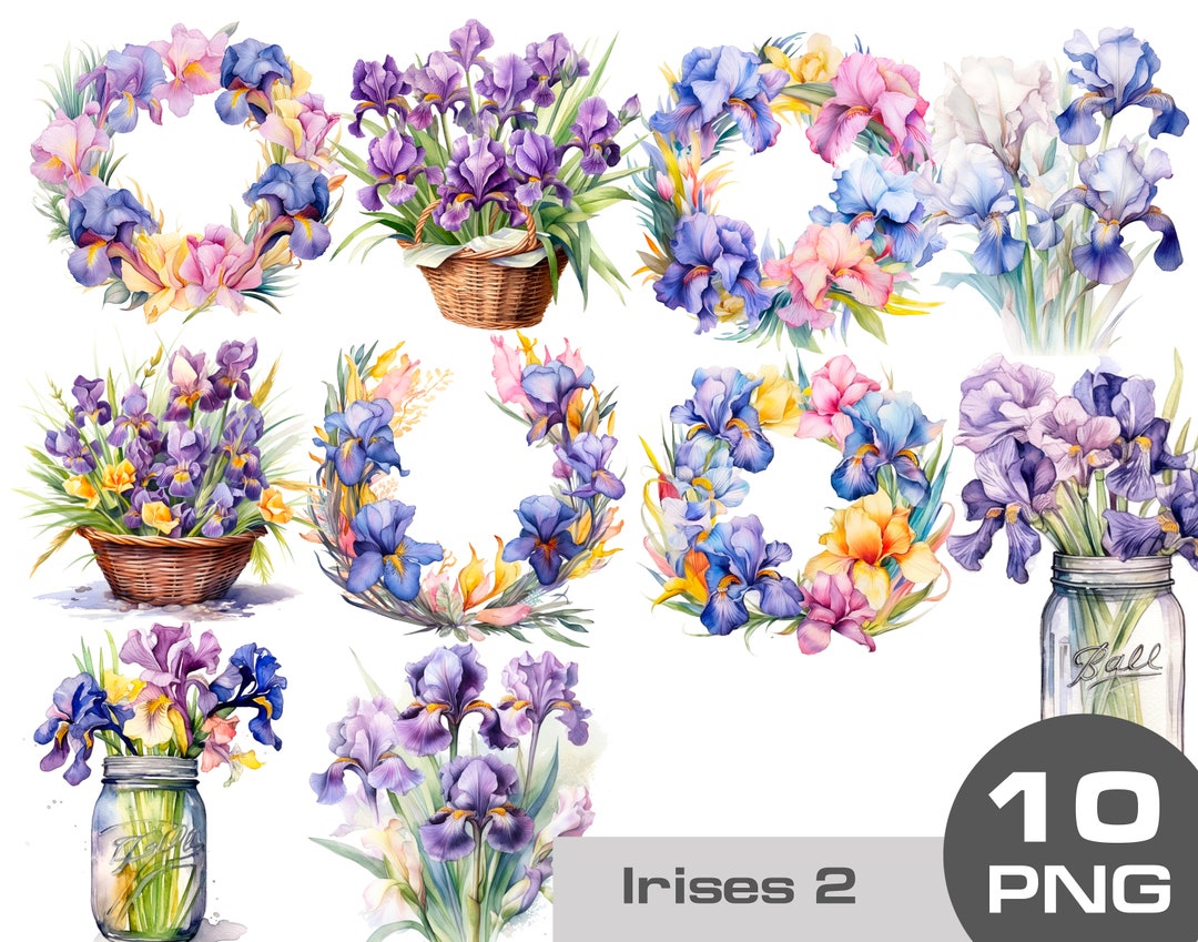 Watercolor Iris Clipart Png, Iris Bouquet in a Jar, Irises in a Vase ...