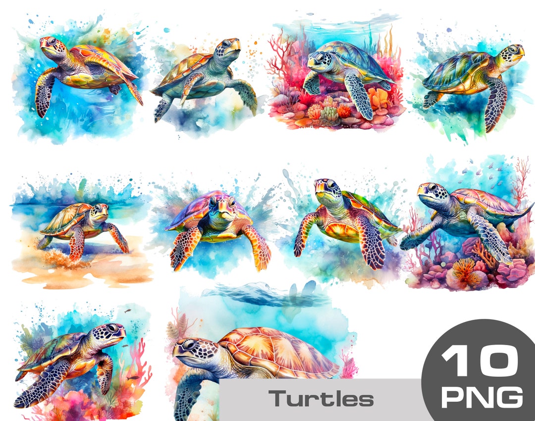 Watercolor Turtle Clipart, Turtle in a Water, Swimming Turtle in a Sea ...