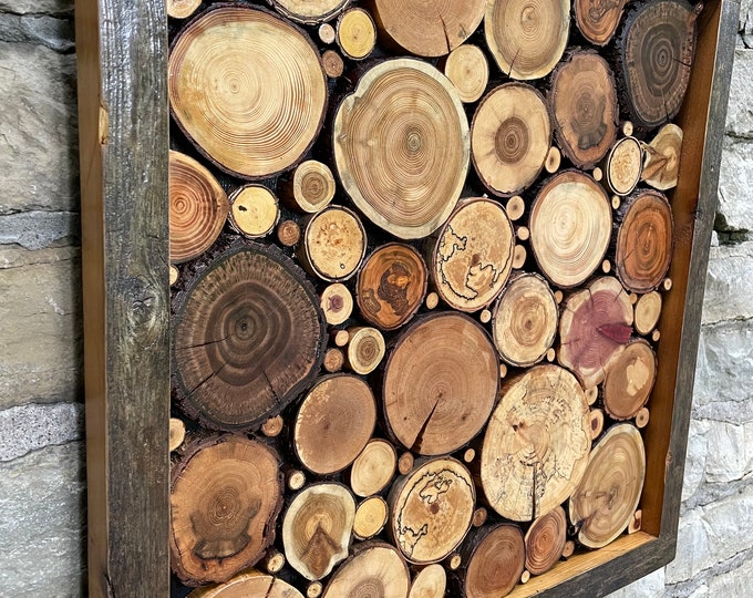 Wood Branch Art, Reclaimed Wood Wall Art,wood Slice Art,wood Wall Decor ...