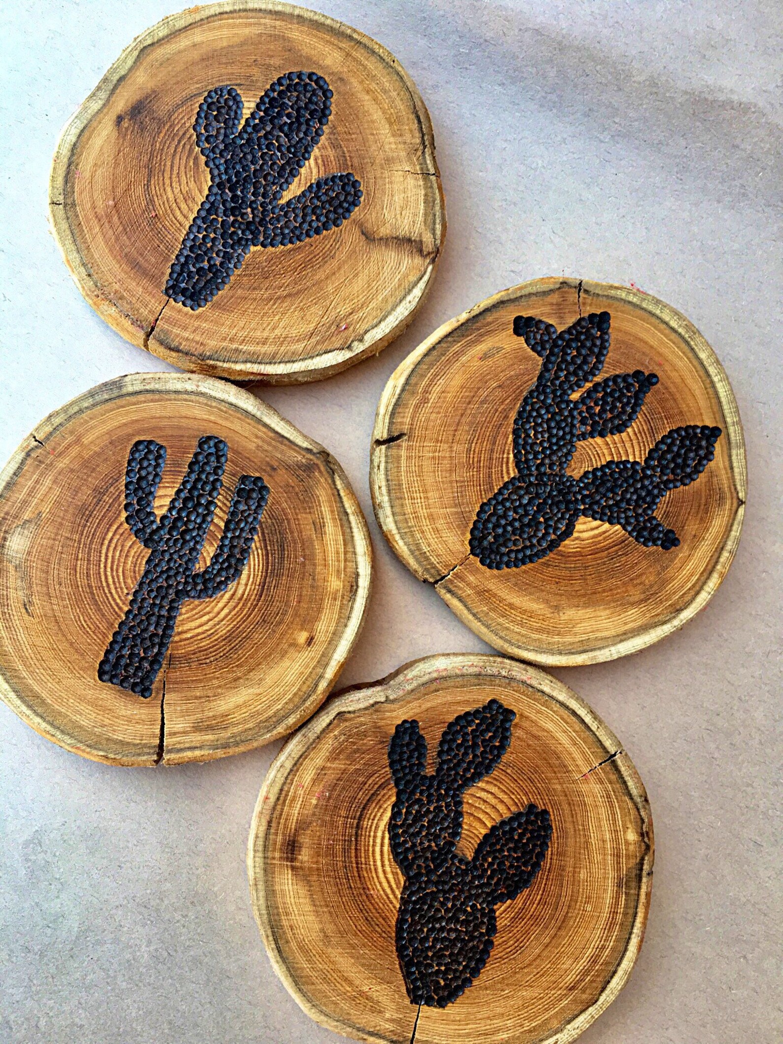 Cactus coasters cacti coasters cactus decor southwestern | Etsy