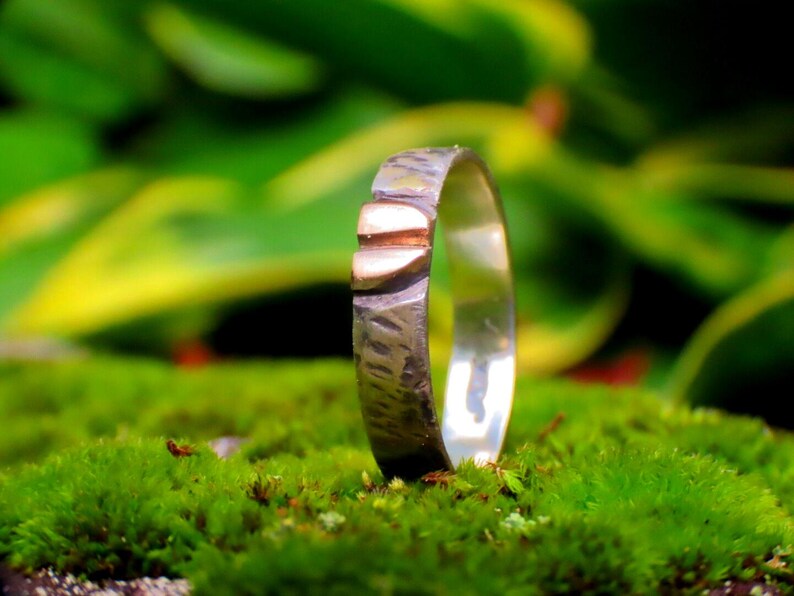 100% Made in Canada, Beaver Ring With Bronze Teeth - Hammered Silver ...