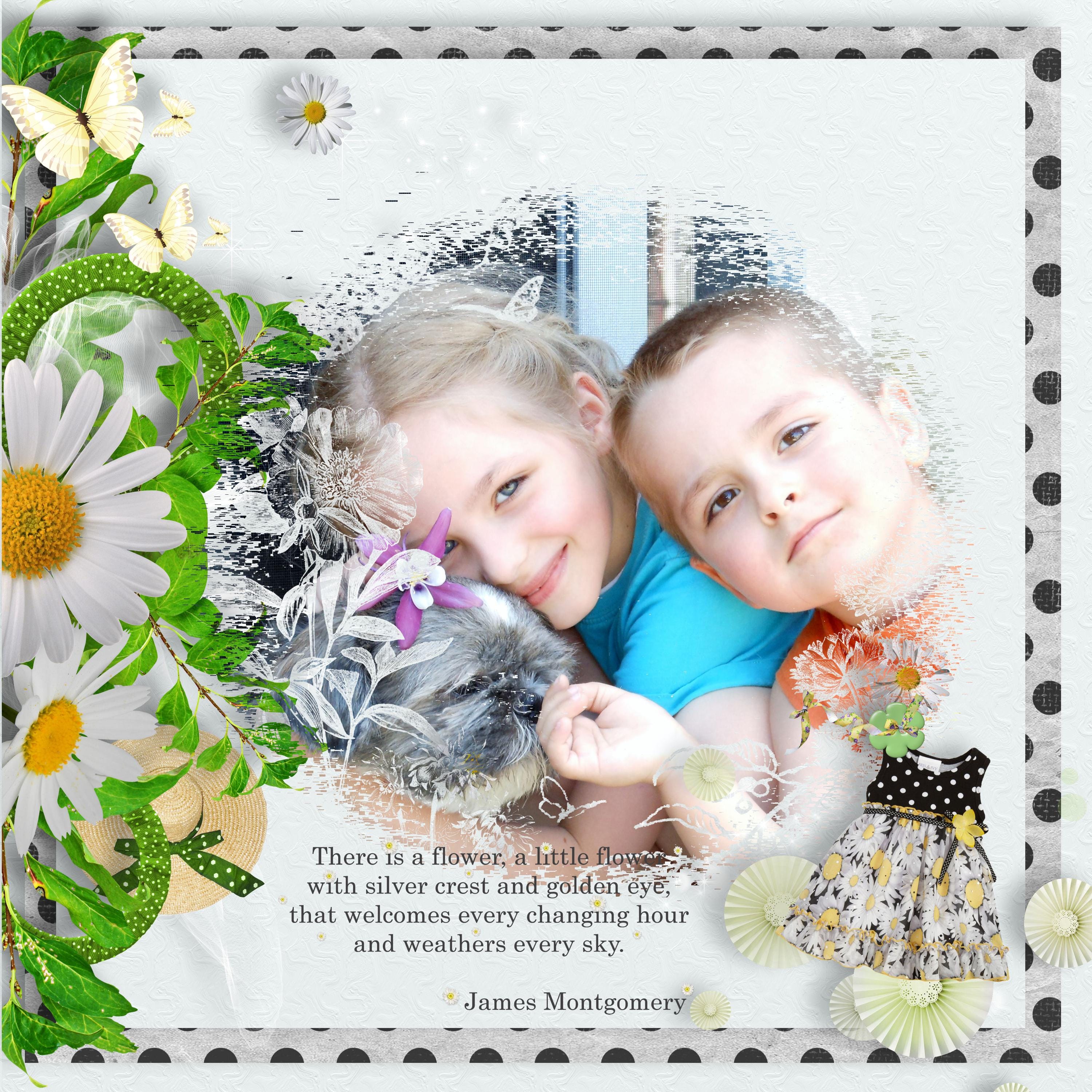 Photo Album Templates, PNG Scrapbook Pages (digital Download) - Etsy