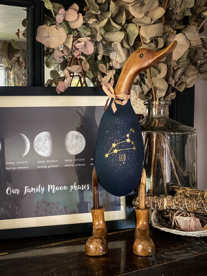Zeus the Zodiac Duck - Etsy
