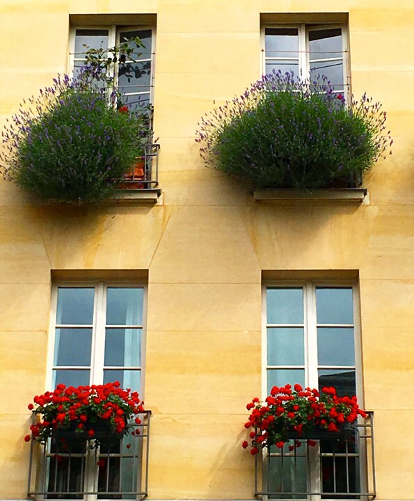 Paris Photo, Paris Window Box, - Etsy