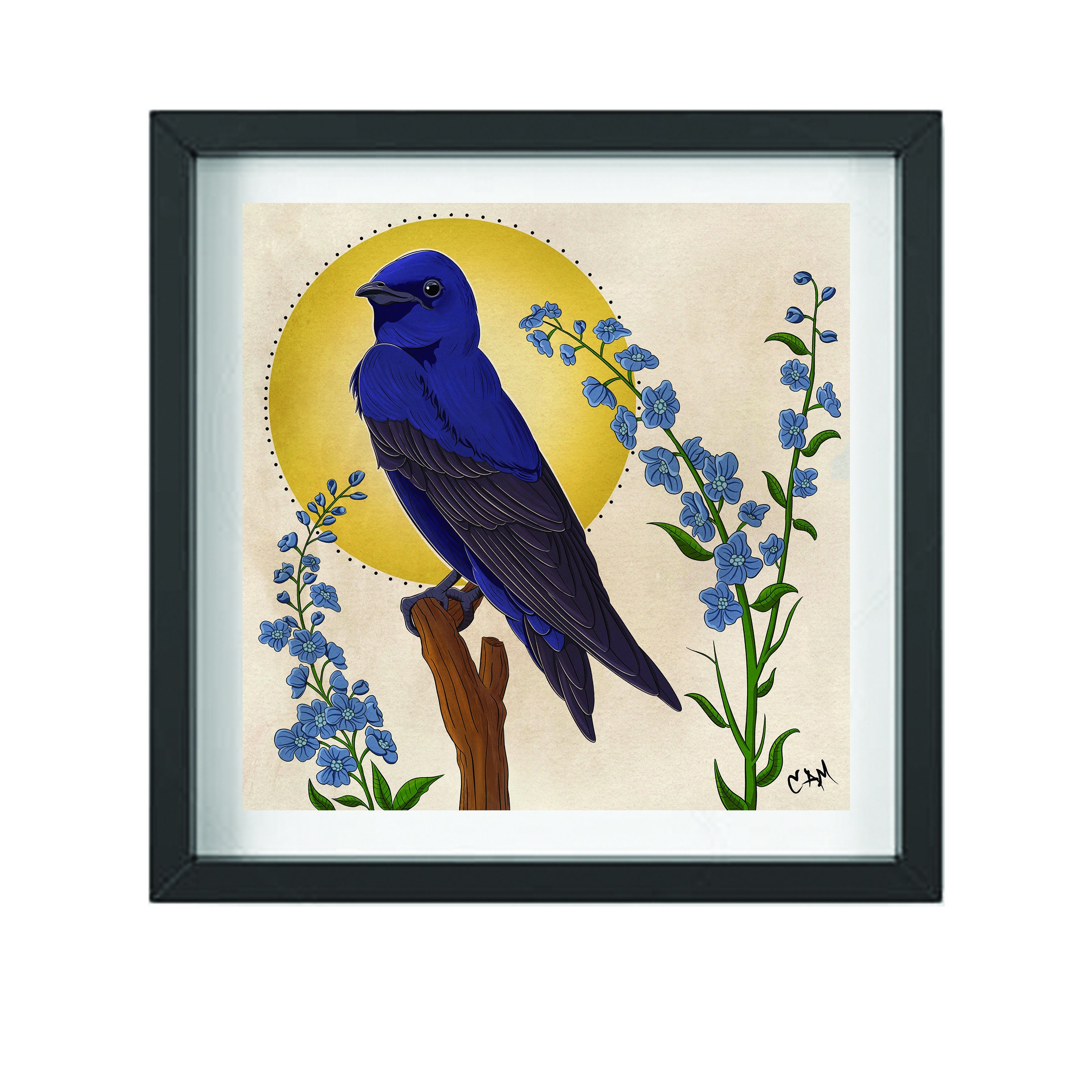 Purple Martin Drawings