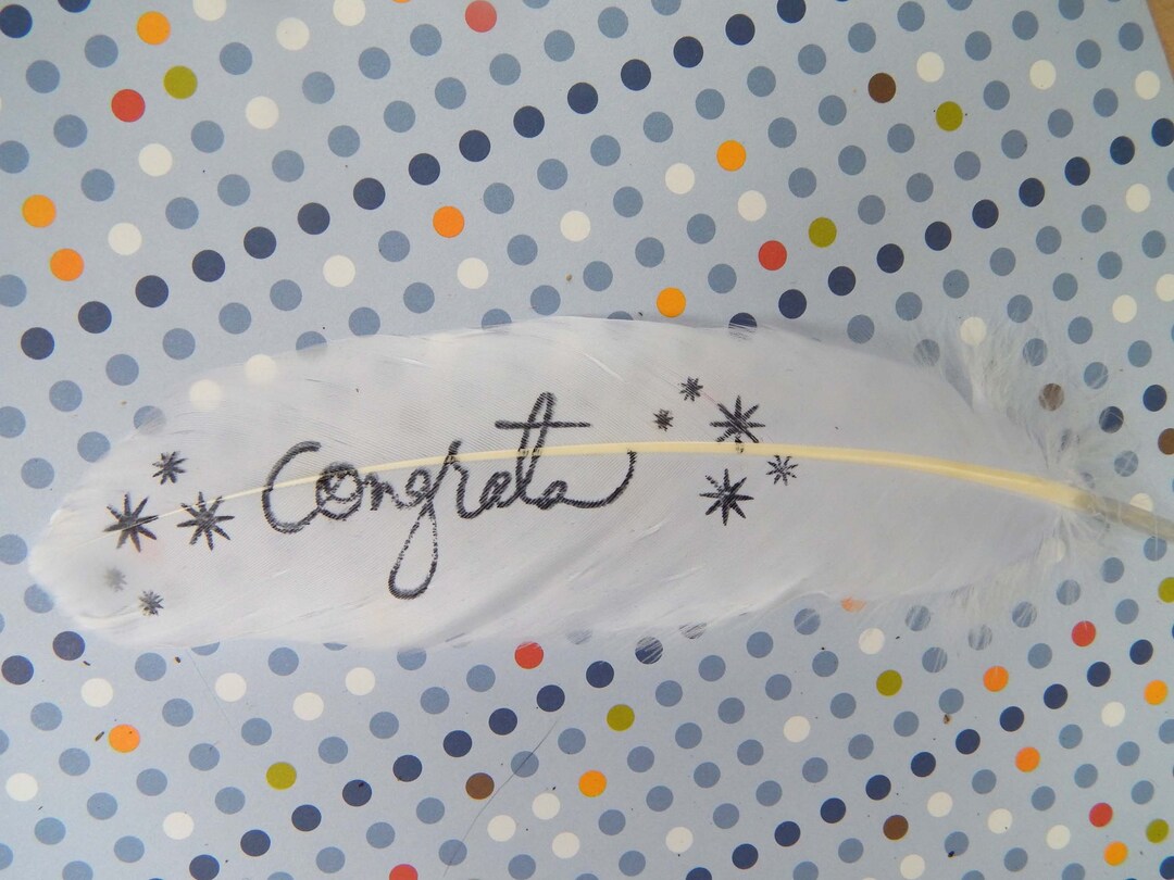 Congratulations, Graduation Gift, Feather, - Etsy