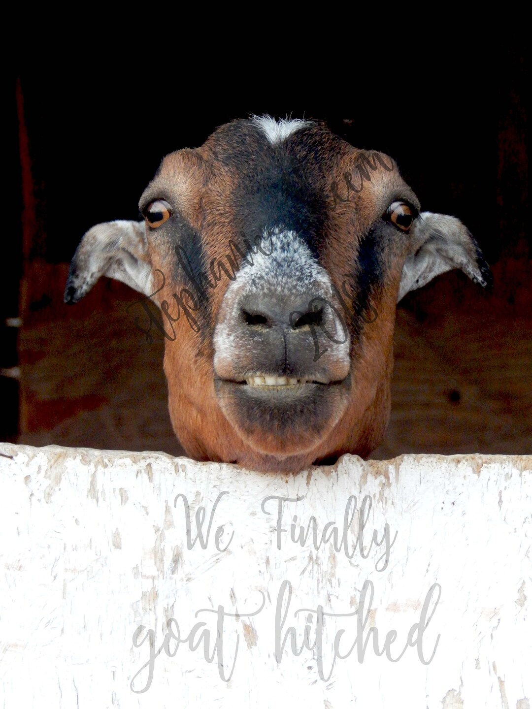 Funny Wedding Invite, Goat Wedding, Goat Picture - Etsy