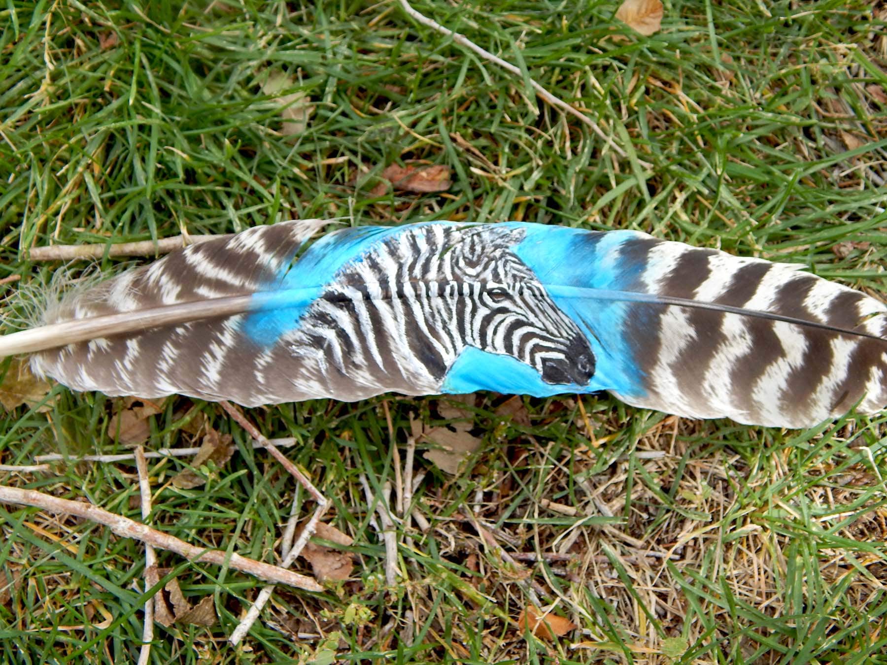 Zebra Painting Painted Feather - Etsy