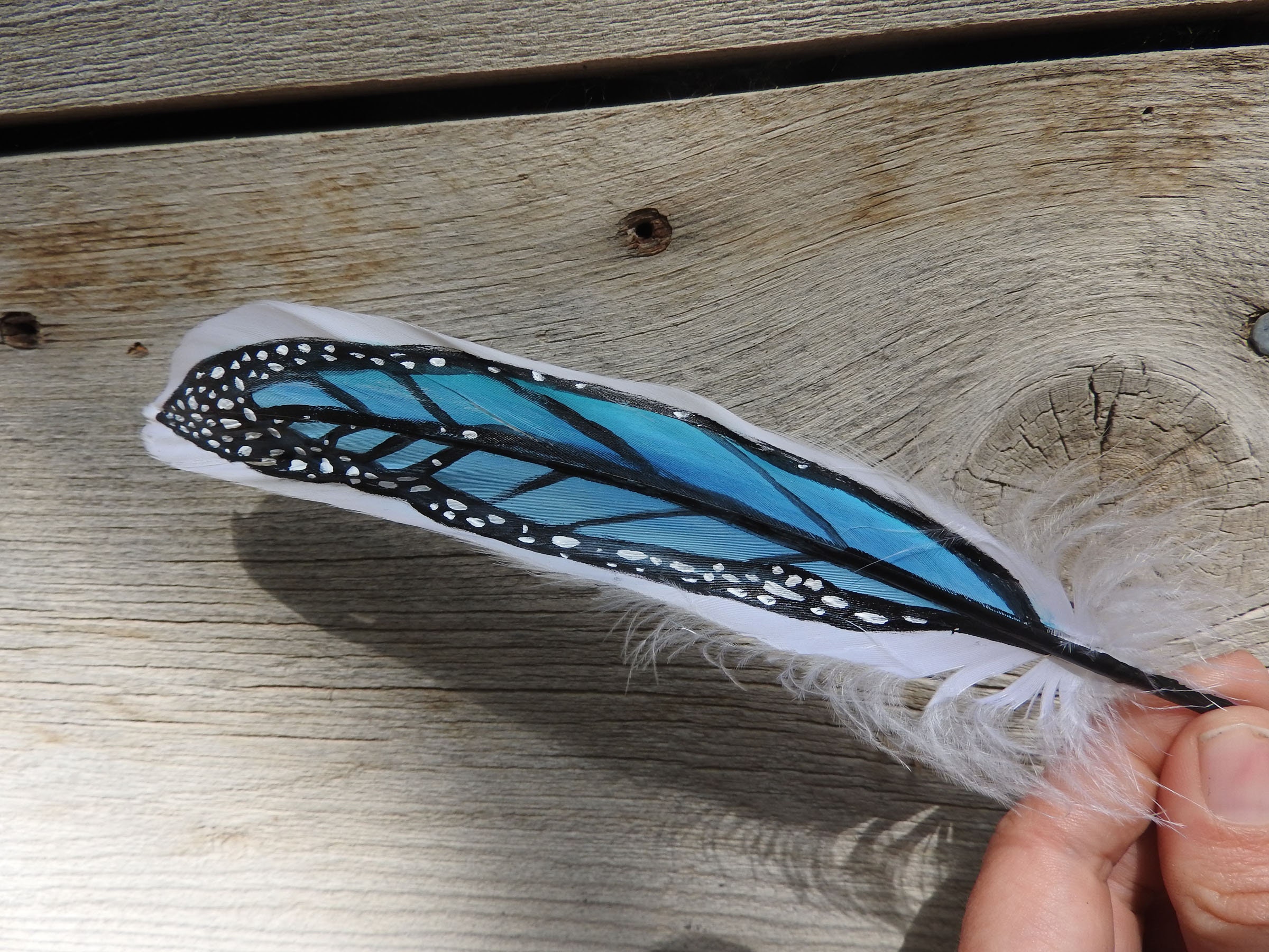 Painted Feather, Blue Monarch Butterfly - Etsy
