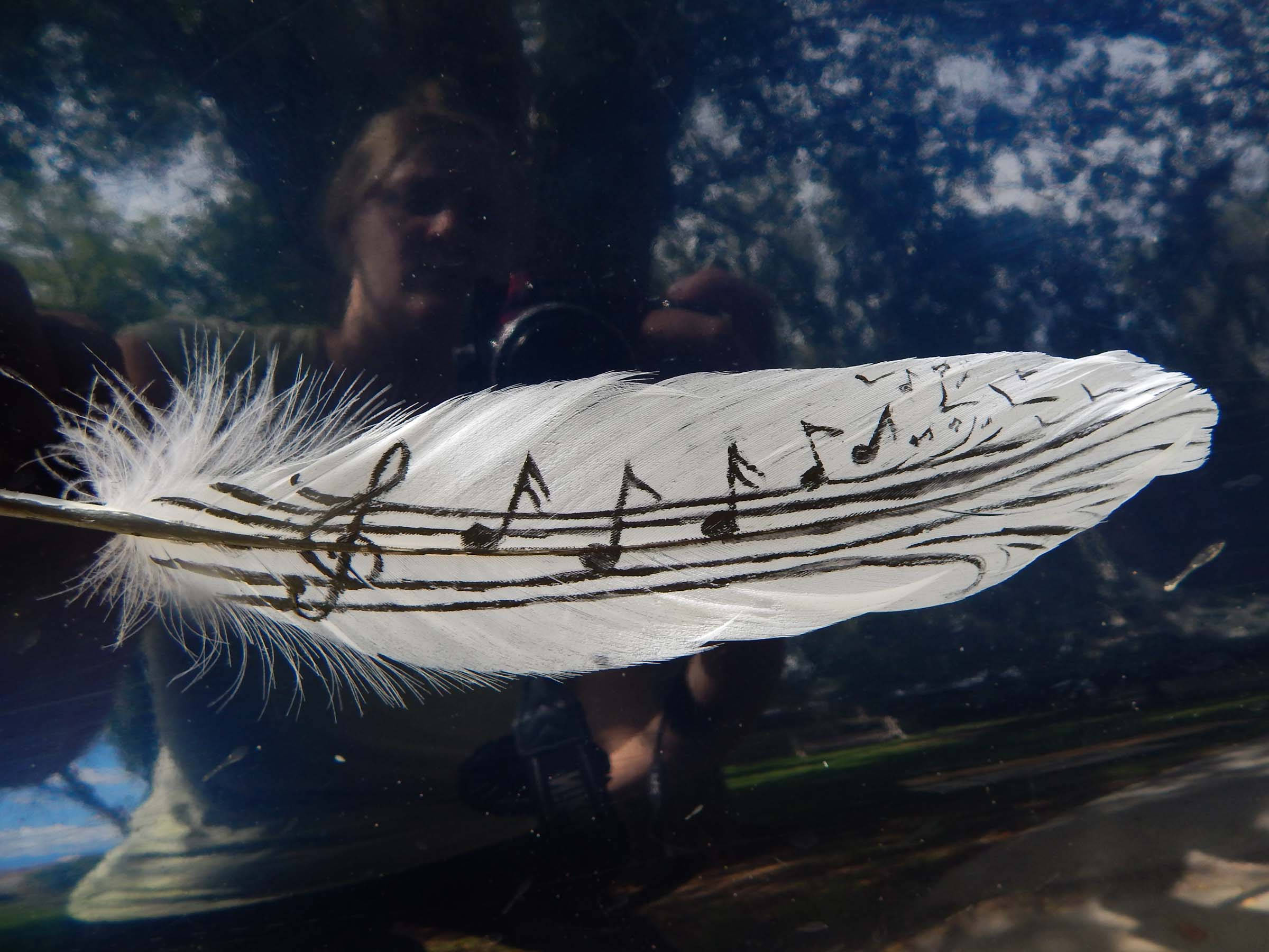 Painted Feather Music Notes Teacher Gift - Etsy