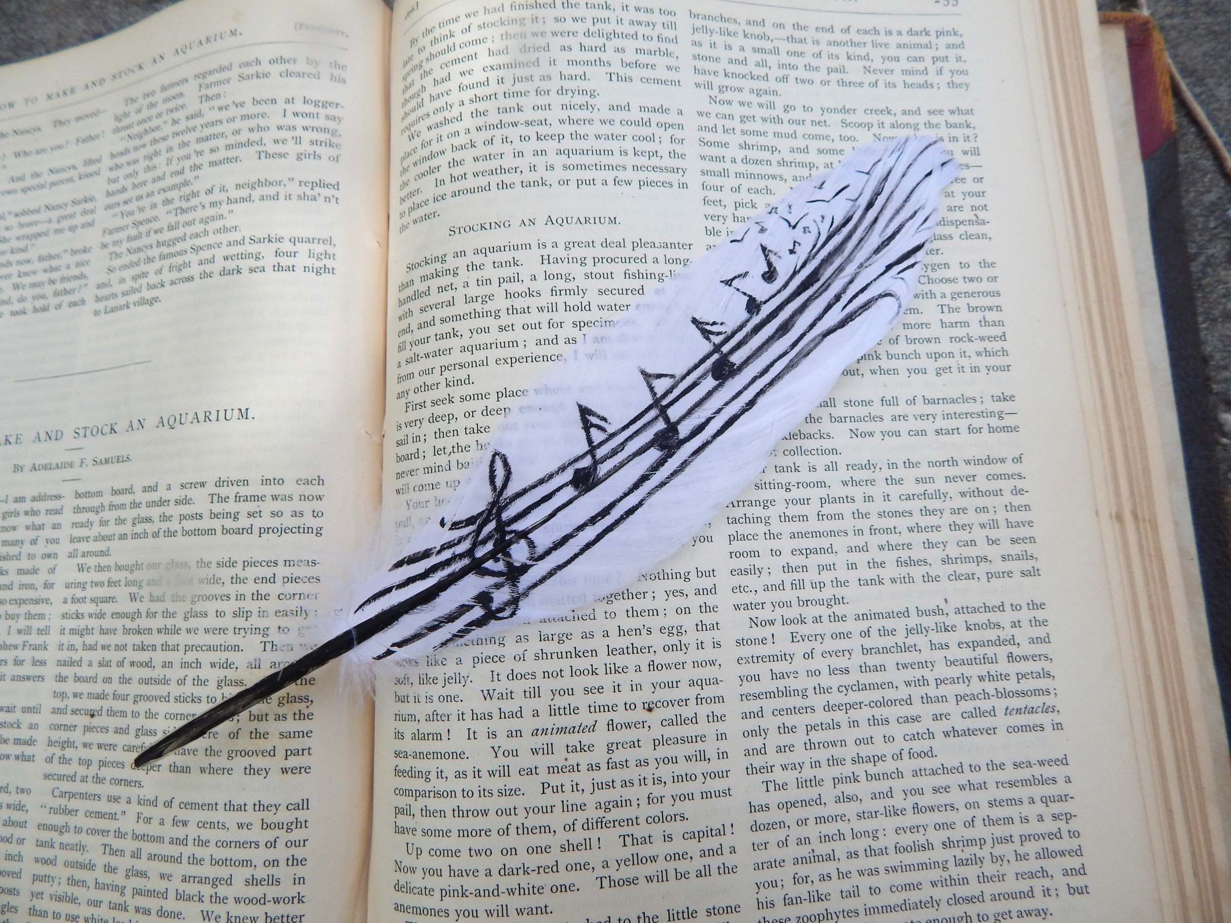 Painted Feather Music Notes Teacher Gift - Etsy