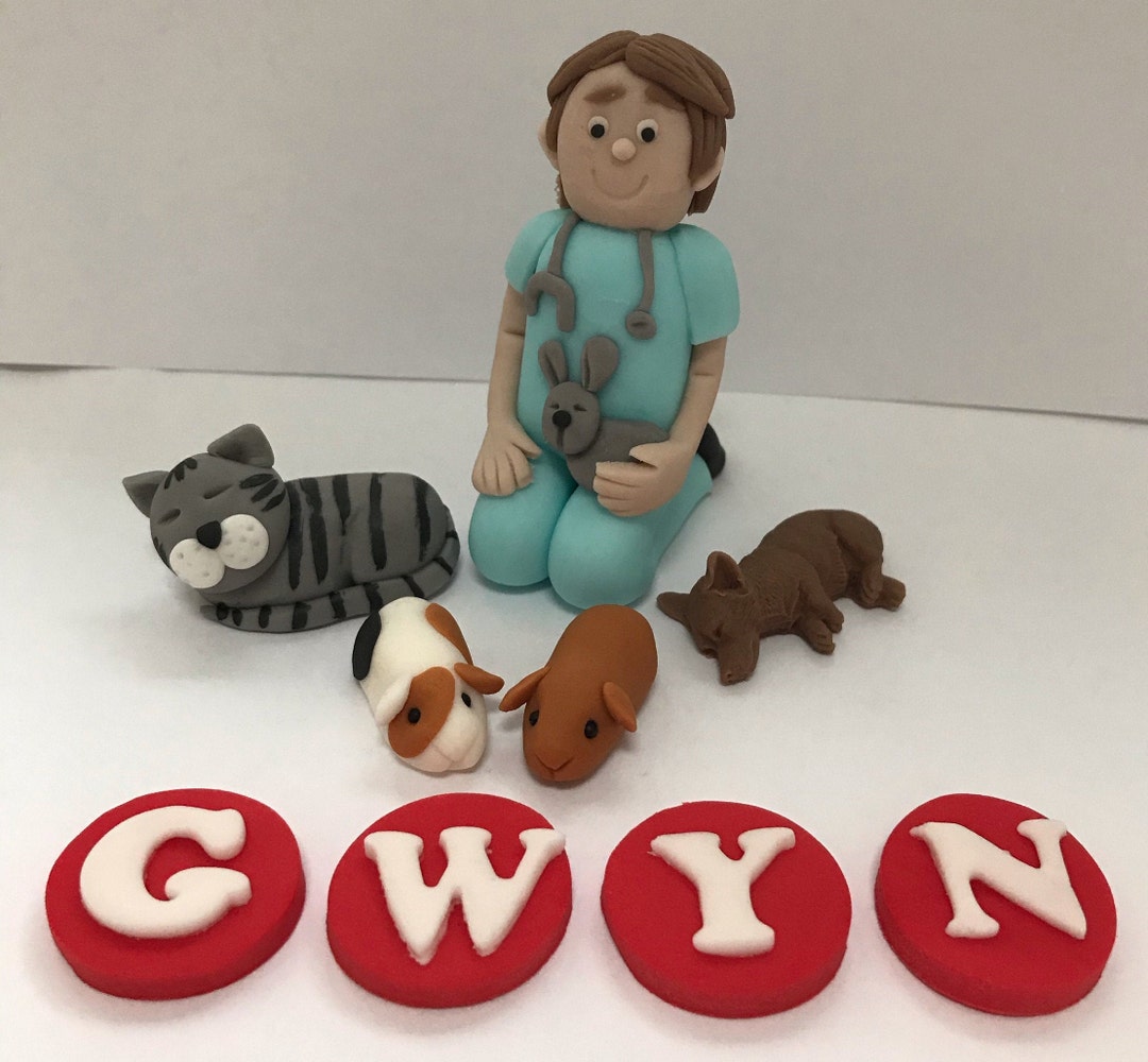 Handmade Edible Vet, Vet Nurse Cake Topper, Decoration, Animal, Man - Etsy