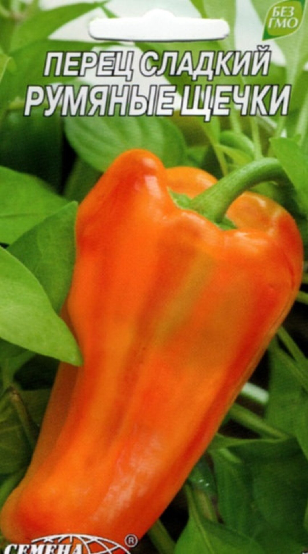 Sweet Pepper Seeds Vegetable Ruddy Cheeks 2070 - Etsy Canada
