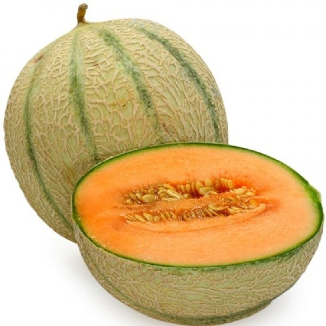 Melon Seeds Kantalupa 1644 - Etsy