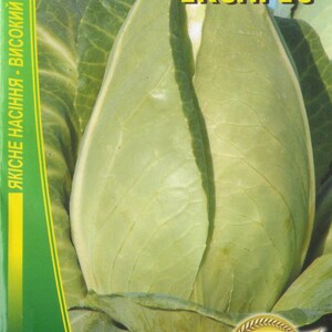 Seeds Cabbage Express Organic Heirloom Vegetable Seeds 687 - Etsy