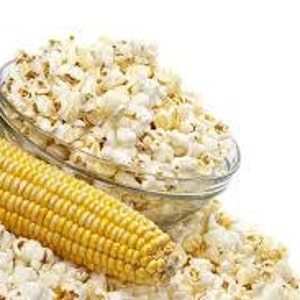 Corn seeds Popcorn Ukraine heirloom Organic seeds average | Etsy