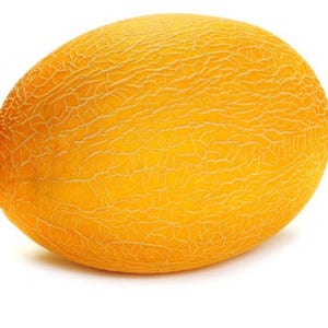 Melon Seeds Ukraine Heirloom Vegetable Seeds Ineya 166 - Etsy