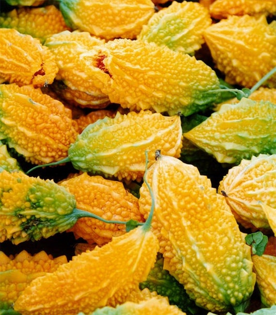 Momordica Seeds Vegetable Seeds from Ukraine 200 | Etsy