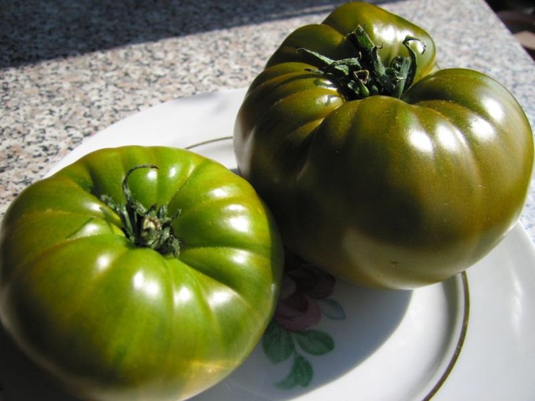 Tomato Seeds Malachite Apple - Etsy Canada