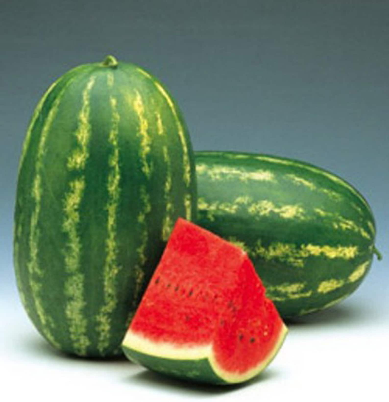 Watermelon Seeds Royal Majesty / 11145 | Etsy