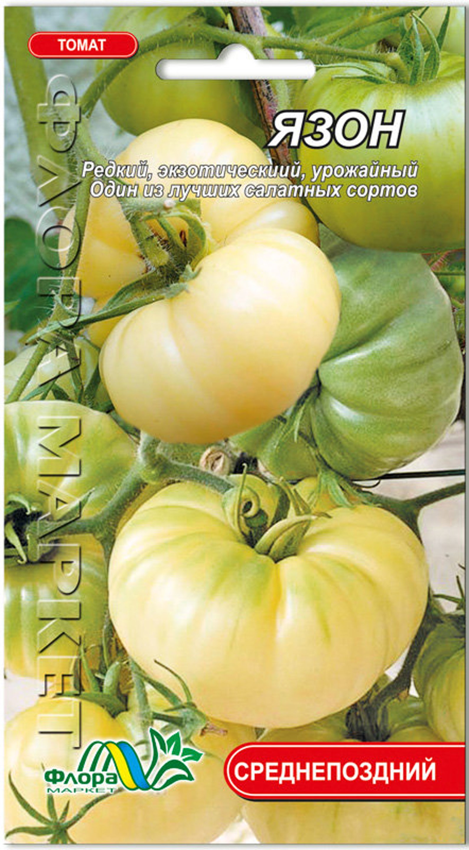 Tomato Seed Tomato Seeds Jason 2110 - Etsy