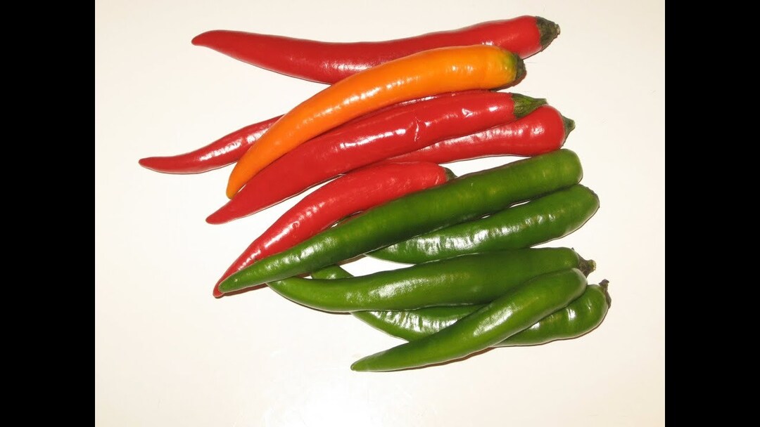 Pepper Seeds Chilli MIX - Etsy