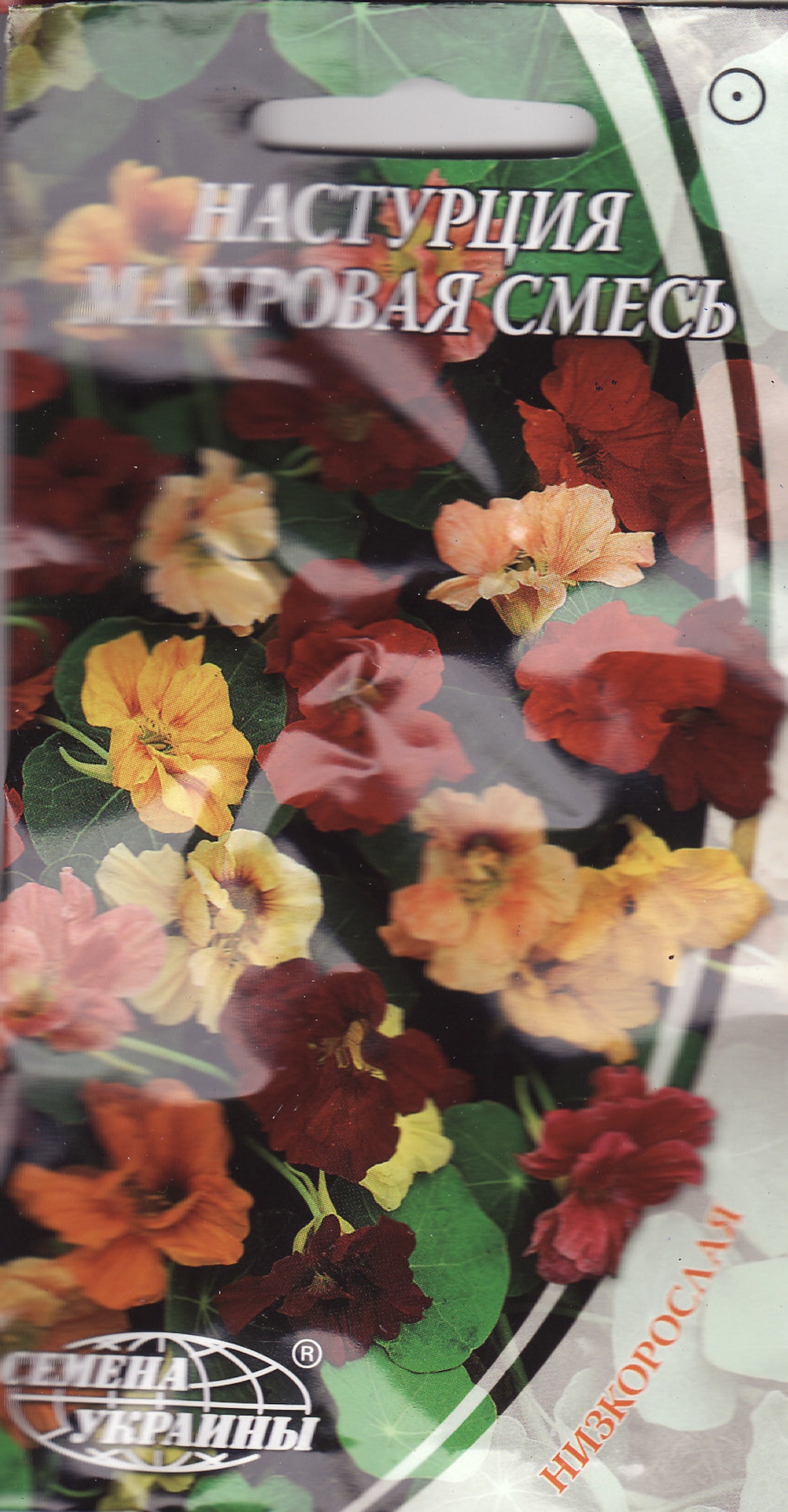 Nasturtium Terry Mix Flower Seeds - Etsy