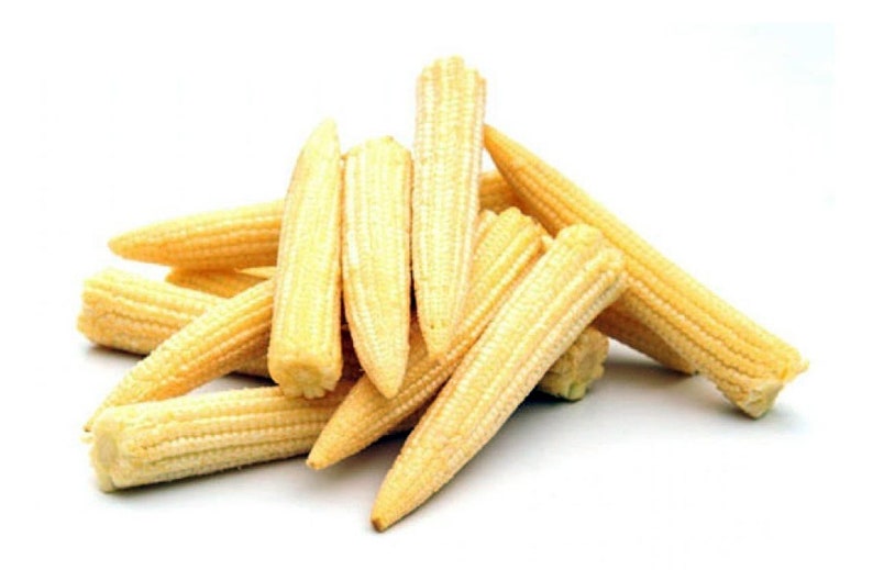 Corn Seeds Minicorn F1 for Canning Ukraine Heirloom Seeds - Etsy