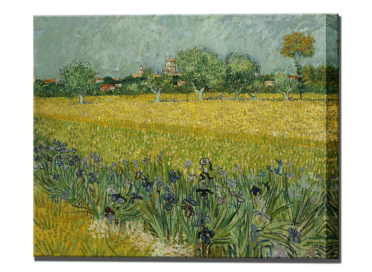 VINCENT VAN GOGH, Canvas Print Wall Decor, View of Arles With Irises ...