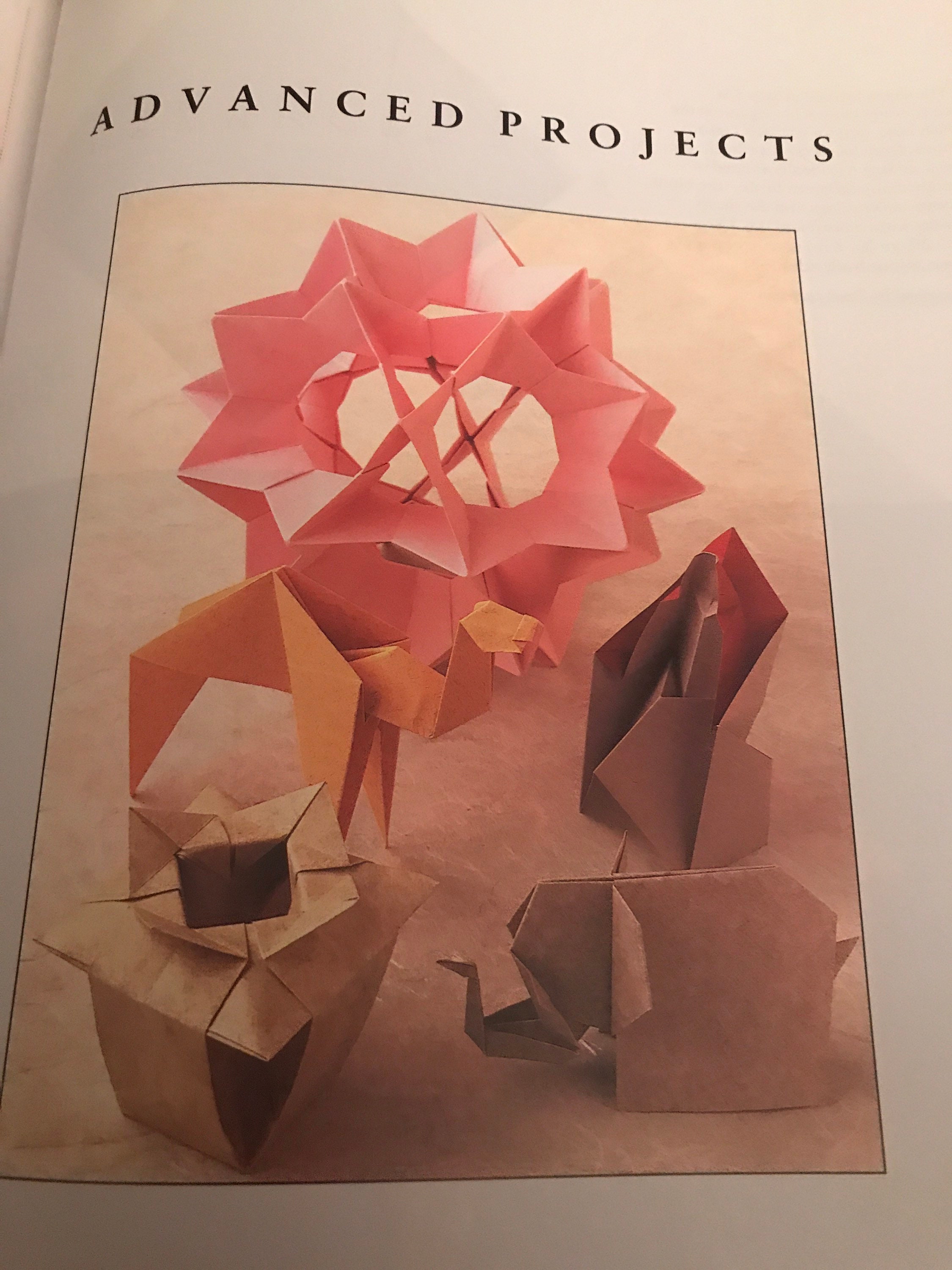 BOOK Papercrafts and Origami A Truly Comprehensive - Etsy