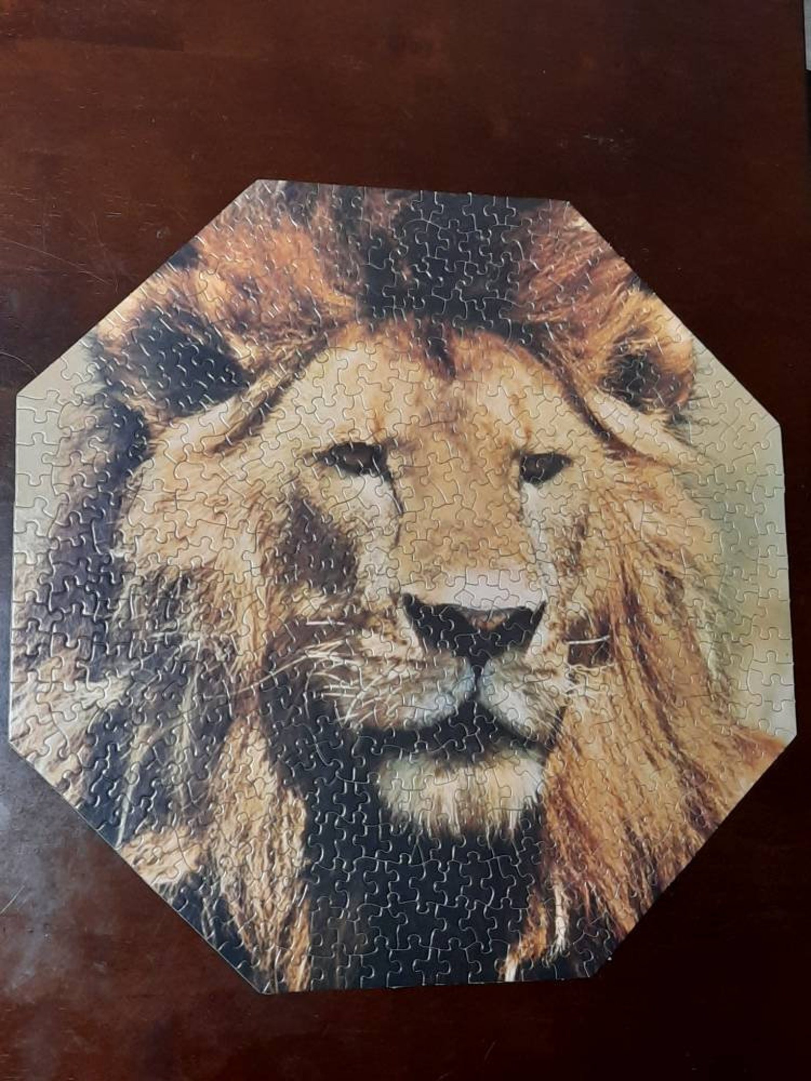 Vintage Springbok Lion King of Beasts Jigsaw Puzzle 100% Complete - Etsy
