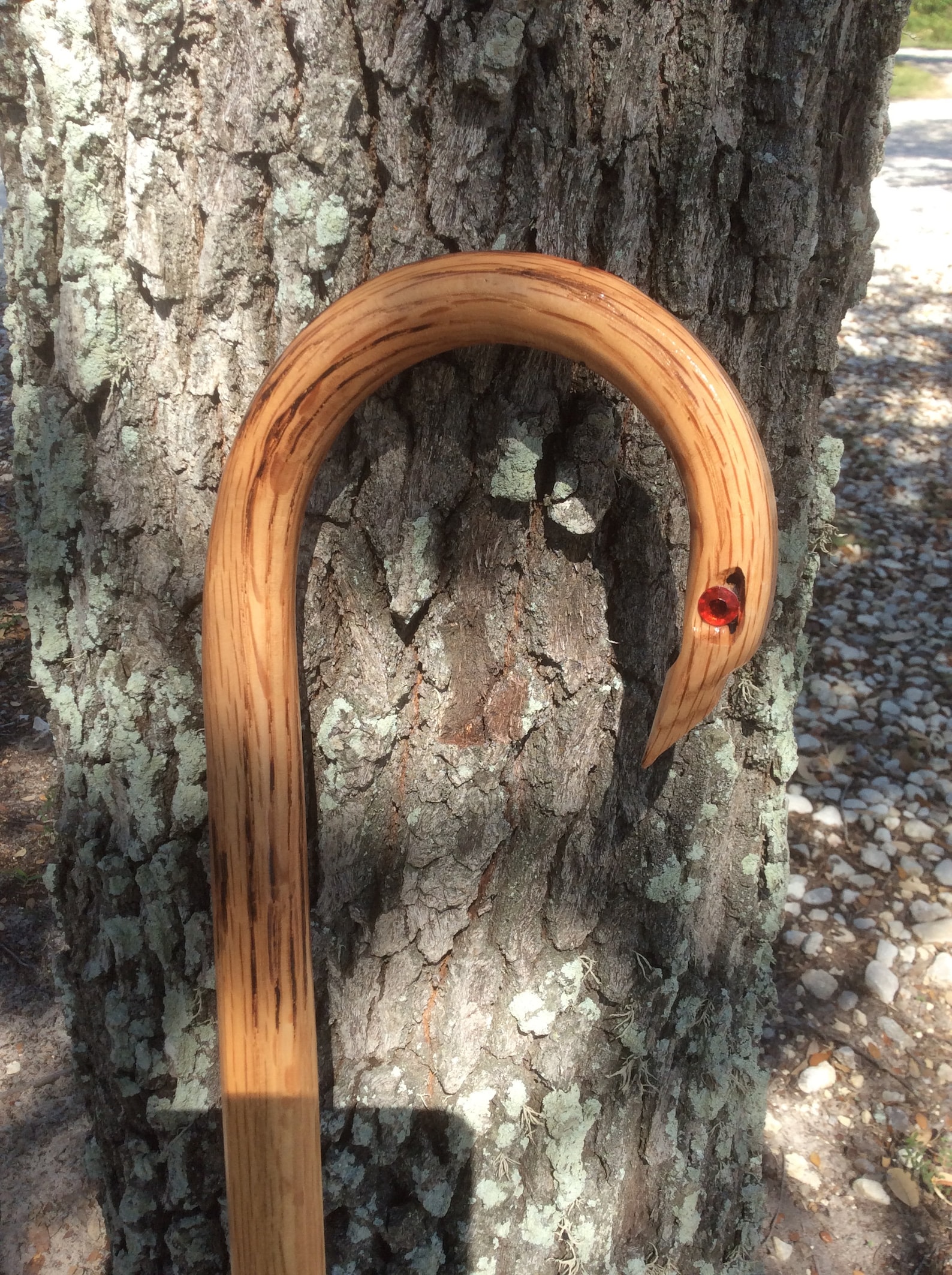 Nighthawk Angry Hawk Head Training Cane - Etsy