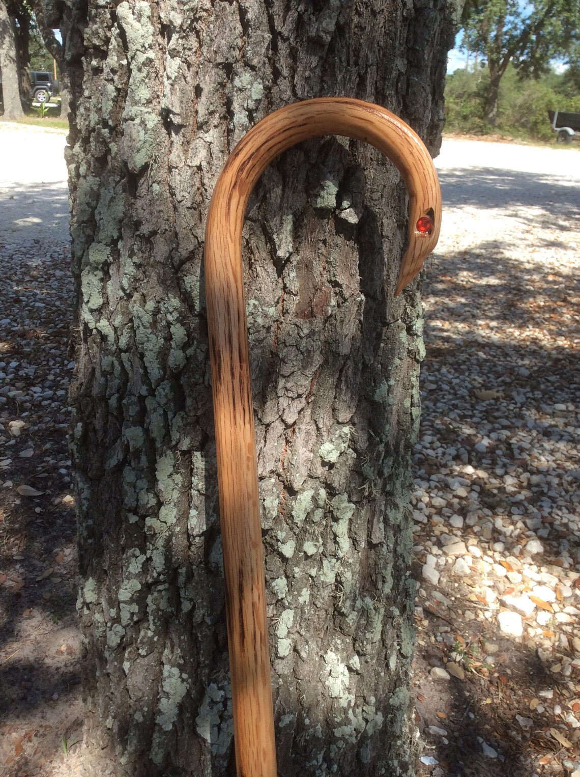 Nighthawk Angry Hawk Head Training Cane Octagon Shaft Free - Etsy