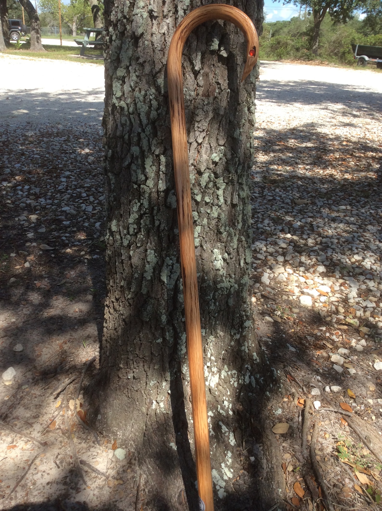 Nighthawk Angry Hawk Head Training Cane Octagon Shaft Free - Etsy