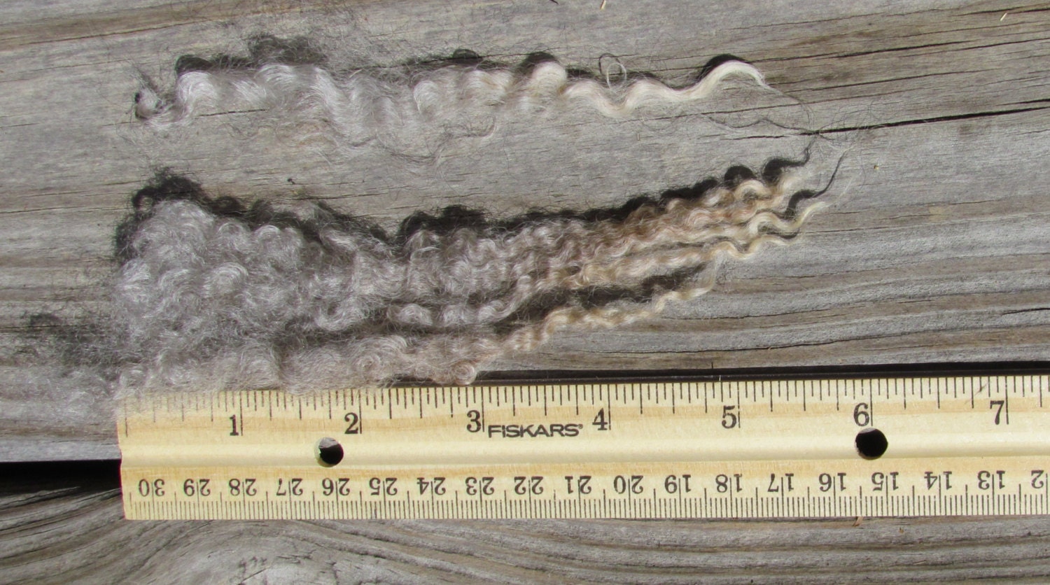 BFL locks natural ivory or colored Bluefaced Leicester Locks | Etsy